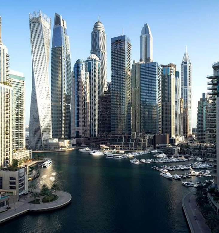 Services - The VP Realty